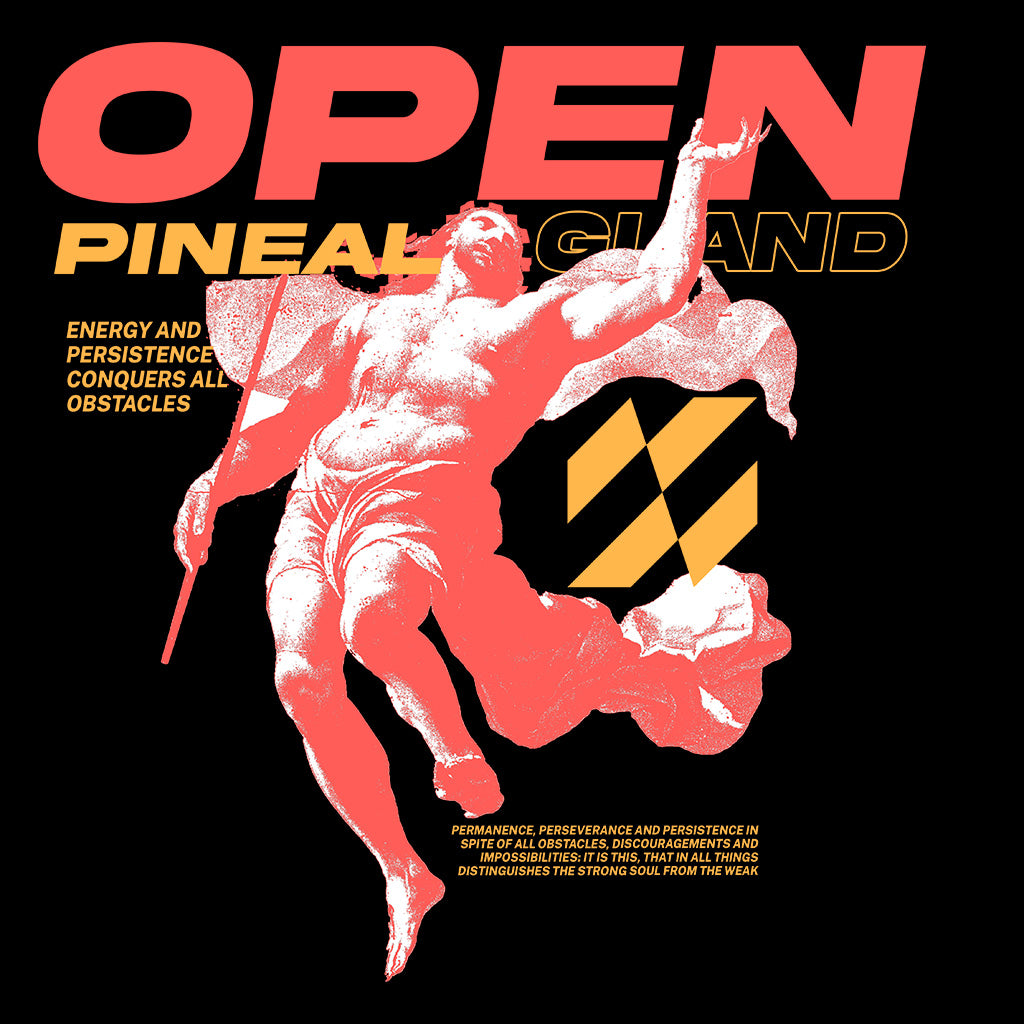 Sweatshirt – Open Pineal Gland